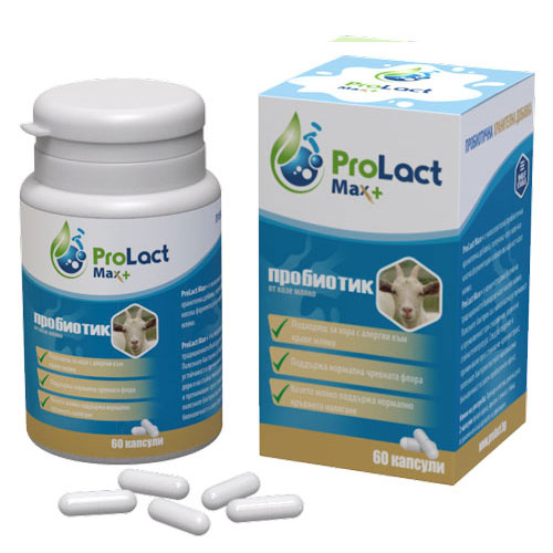 ProLact Max+ 60 capsules / ПроЛакт Макс+ 60 капсули | Apteka24.bg