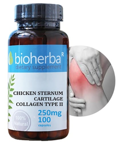 Bioherba Chicken sternum cartilage collagen type II 250 mg 100 capsules ...