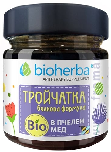 БИОХЕРБА ТРОЙЧАТКА В БИО ПЧЕЛЕН МЕД 280 г | Apteka24.bg