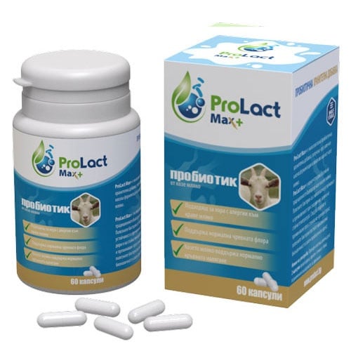 ProLact Max+ 60 capsules / ПроЛакт Макс+ 60 капсули | Apteka24.bg